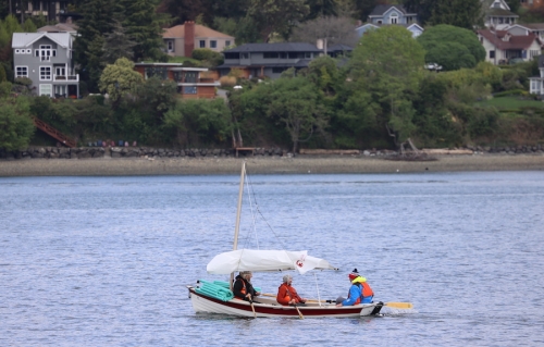 Ten Reasons Why Rowing Is The Perfect Workout – Bainbridge Island Rowing